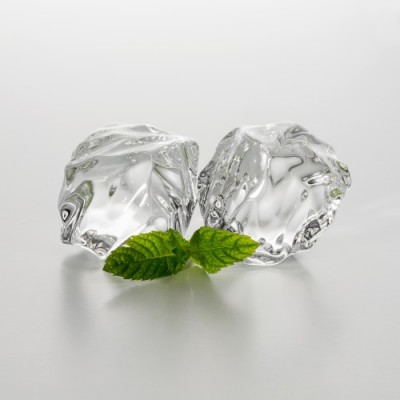 ice cubes with mint | Capital Medical Corporation